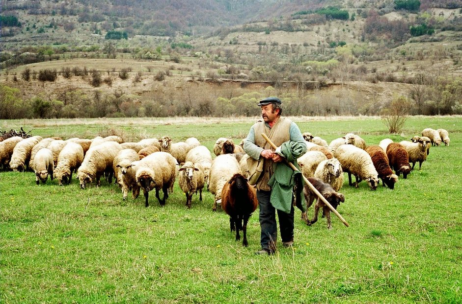 Η ΚΤΗΝΟΤΡΟΦΙΑ ΚΑΙ Η ΠΑΡΑΓΩΓΗ ΖΩΟΤΡΟΦΩΝ ΣΤΗΝ ΠΑΤΡΙΔΑ ΜΑΣ ΕΙΝΑΙ ...