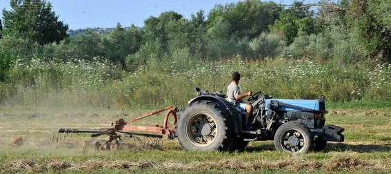 ΜΕΧΡΙ ΚΑΙ 22.000 ΕΥΡΩ ΟΙΚΟΝΟΜΙΚΗ ΕΝΙΣΧΥΣΗ ΣΕ 12.000 ΑΓΡΟΤΕΣ | TASTV.gr ...