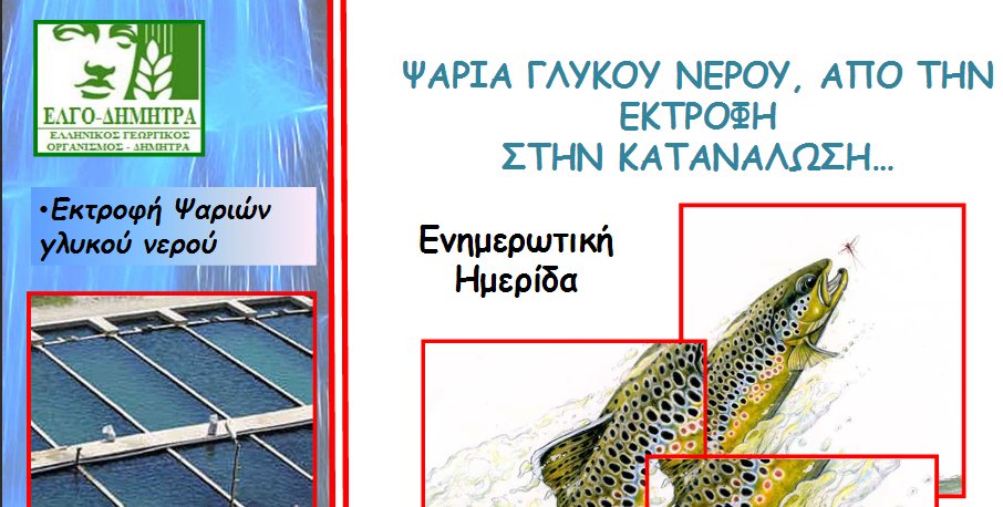 ΕΝΗΜΕΡΩΤΙΚΉ ΗΜΕΡΙΔΑ ΚΕΝΤΡΟ «ΔΗΜΗΤΡΑ» ΣΚΥΔΡΑΣ | TASTV.gr | Τα νέα της ...