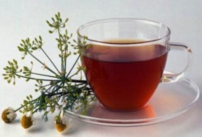 ΘΕΡΑΠΕΙΑ ΧΩΡΙΣ ΦΑΡΜΑΚΑ: ΑΥΤΑ ΤΑ ΡΟΦΗΜΑΤΑ ΕΙΝΑΙ ΤΑ ΕΥΕΡΓΕΤΙΚΑ ΓΙΑΤΡΙΚΑ ...