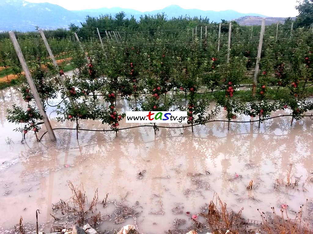 ΑΠΟΖΗΜΙΩΣΕΙΣ ΑΓΡΟΤΩΝ ΠΕΛΛΑΣ & ΗΜΑΘΙΑΣ ΑΠΟ ΤΟΝ ΕΛΓΑ ΓΙΑ ΚΑΤΑΣΤΡΟΦΕΣ ΑΠΟ ...