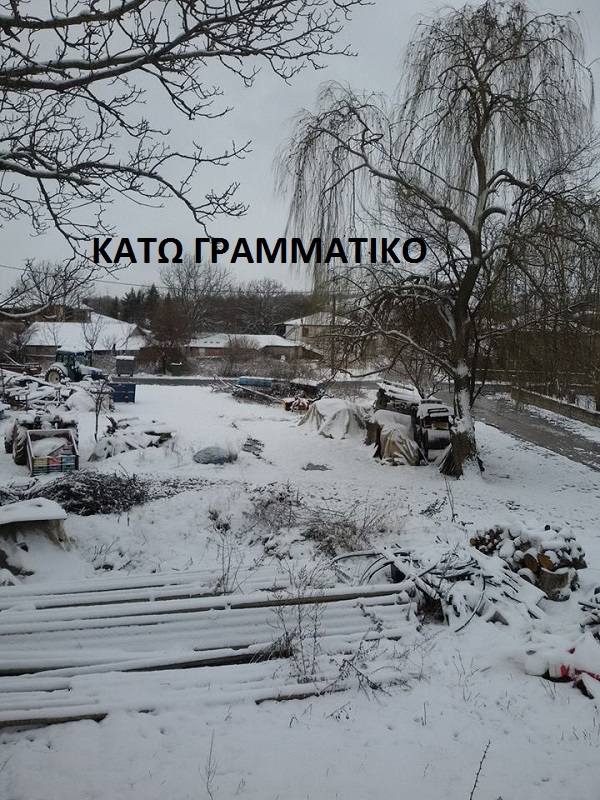ΧΙΟΝΙΣΕ ΣΤΑ ΟΡΕΙΝΑ ΤΟΥ ΝΟΜΟΥ ΠΕΛΛΑΣ (ΦΩΤΟ) | TASTV.gr | Τα νέα της ...