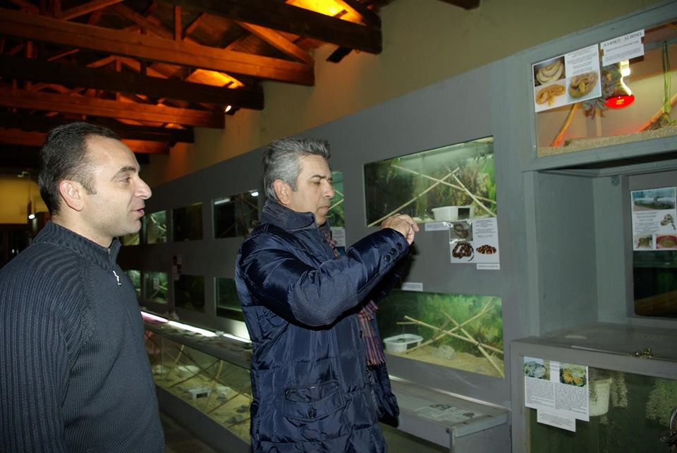 ΑΝΙΔΙΟΤΕΛΗΣ ΠΡΟΣΦΟΡΑ ΕΠΙΧΕΙΡΗΜΑΤΙΑ ΣΤΟ ΔΗΜΟΤΙΚΟ ΕΡΠΕΤΑΡΙΟ ΕΔΕΣΣΑΣ ...