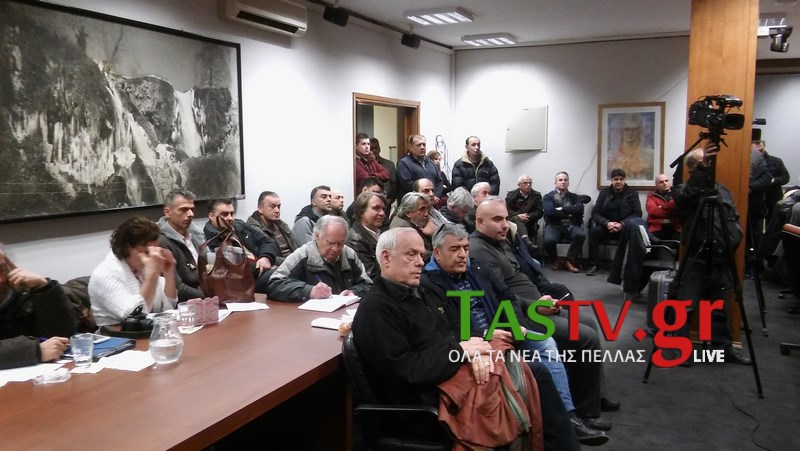 ΕΔΕΣΣΑ : ΚΑΥΤΟ ΤΟ ΘΕΜΑ ΤΗΣ ΜΕΤΟΝΟΜΑΣΙΑΣ ΟΔΟΥ ΜΕ ΤΟ ΟΝΟΜΑ "ΕΙΡΗΝΗ ΓΚΙΝΗ ...