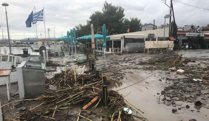 ΧΑΛΚΙΔΙΚΗ: ΤΑ ΑΥΤΟΚΙΝΗΤΑ ΣΤΗ ΘΑΛΑΣΣΑ ΚΑΙ ΤΑ ΚΟΤΕΡΑ ΣΤΗ ΣΤΕΡΙΑ – ΧΑΟΣ ...