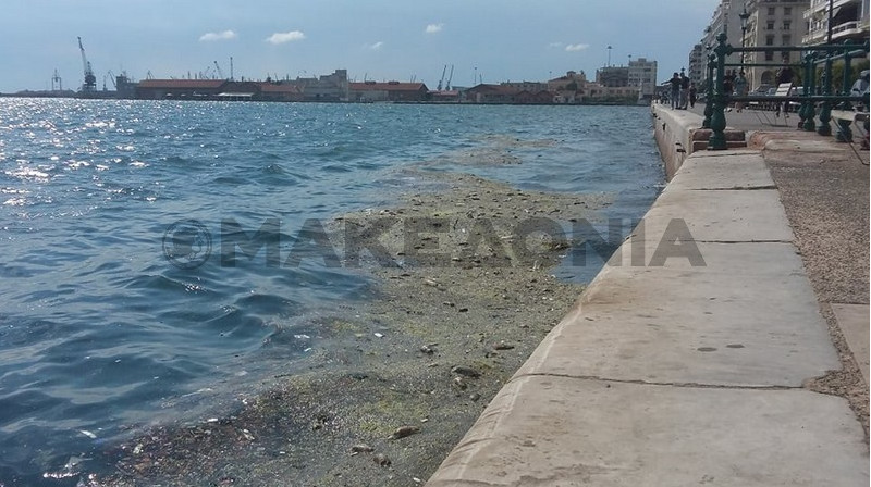 ΟΙ ΕΔΕΣΣΑΙΟΙ ΞΕΡΟΥΝ ΚΑΛΑ ΤΙ ΣΗΜΑΙΝΕΙ ΝΕΡΟ ΑΠΟ ΝΕΑΡΗ ΗΛΙΚΙΑ | TASTV.gr ...