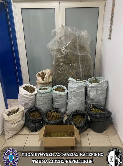 ΣΥΝΕΛΛΗΦΘΗ ΝΑ ΚΑΛΛΙΕΡΓΕΙ ΚΑΙ ΝΑ ΚΑΤΕΧΕΙ 50 ΚΙΛΑ ΚΑΝΝΑΒΗΣ | TASTV.gr ...