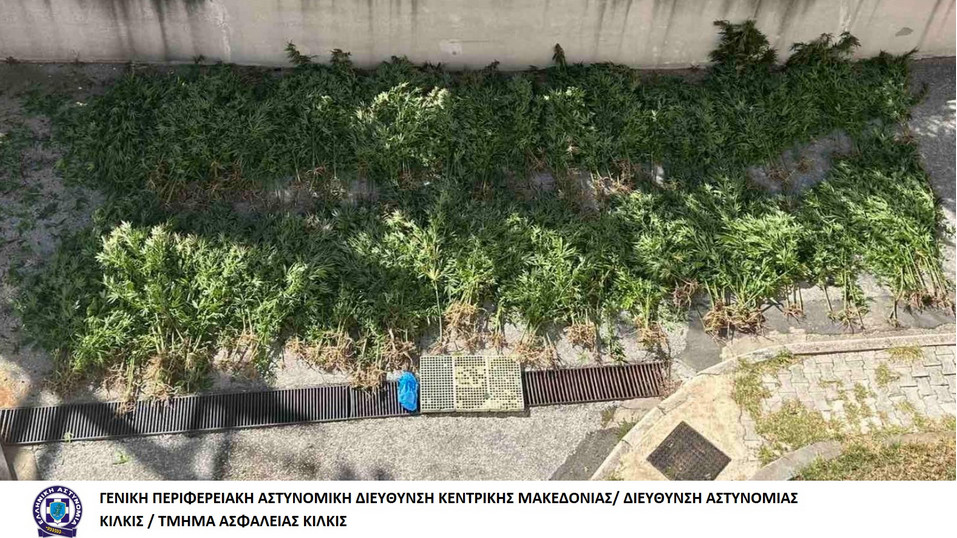 ΕΔΕΣΣΑ ΚΙΛΚΙΣ : ΣΥΛΛΗΨΕΙΣ ΓΙΑ ΑΡΧΑΙΟΚΑΠΗΛΙΑ ΚΑΙ ΚΑΛΛΙΕΡΓΕΙΑ ΕΚΑΤΟΝΤΑΔΩΝ ...