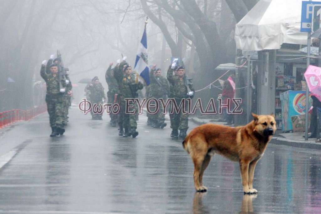 ΕΟΡΤΑΣΤΗΚΕ Η 25η ΜΑΡΤΙΟΥ 2015 ΣΤΗΝ ΕΔΕΣΣΑ (ΠΑΡΕΛΑΣΗ VIDEO & PHOTOS ...