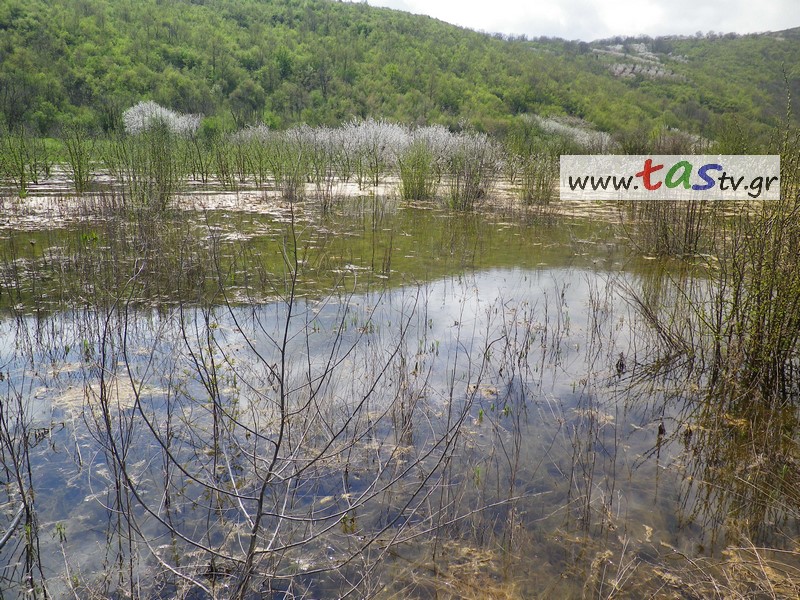 ΠΛΗΜΜΥΡΙΣΑΝ ΚΤΗΜΑΤΑ - ΣΕ ΑΠΟΓΝΩΣΗ ΑΓΡΟΤΕΣ ΣΤΟΝ ΑΓΡΑ-ΠΕΛΛΑΣ | TASTV.gr ...