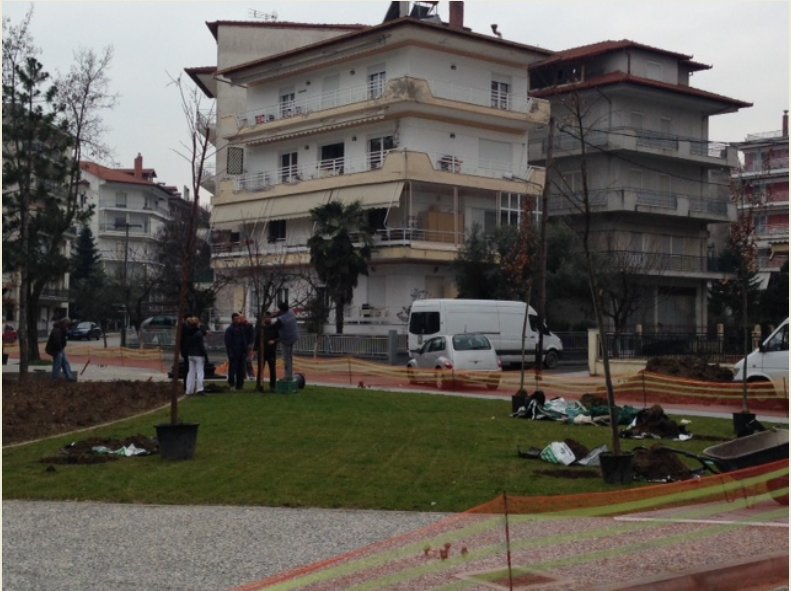 ΔΗΜΟΣ ΕΔΕΣΣΑΣ : ΦΥΤΕΥΣΕΙΣ ΔΕΝΤΡΩΝ ΣΤΗΝ ΠΛΑΤΕΙΑ ΓΡΑΝΙΚΟΥ ΚΑΙ ΤΗΝ 18ΗΣ ...