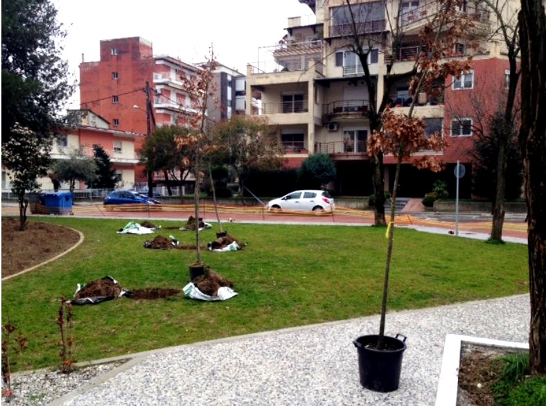 ΔΗΜΟΣ ΕΔΕΣΣΑΣ : ΦΥΤΕΥΣΕΙΣ ΔΕΝΤΡΩΝ ΣΤΗΝ ΠΛΑΤΕΙΑ ΓΡΑΝΙΚΟΥ ΚΑΙ ΤΗΝ 18ΗΣ ...