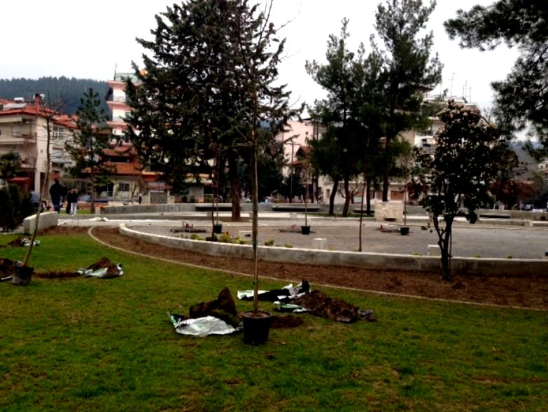 ΔΗΜΟΣ ΕΔΕΣΣΑΣ : ΦΥΤΕΥΣΕΙΣ ΔΕΝΤΡΩΝ ΣΤΗΝ ΠΛΑΤΕΙΑ ΓΡΑΝΙΚΟΥ ΚΑΙ ΤΗΝ 18ΗΣ ...