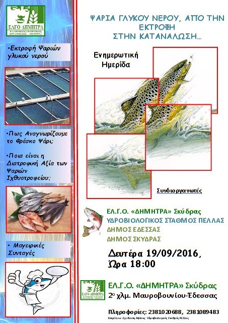 ΕΝΗΜΕΡΩΤΙΚΉ ΗΜΕΡΙΔΑ ΚΕΝΤΡΟ «ΔΗΜΗΤΡΑ» ΣΚΥΔΡΑΣ | TASTV.gr | Τα νέα της ...
