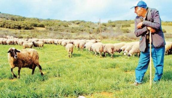 ΟΙ ΚΤΗΝΟΤΡΟΦΟΙ ΖΗΤΟΥΝ ΤΑ ΑΠΟΤΕΛΕΣΜΑΤΑ ΤΩΝ ΕΛΕΓΧΩΝ ΤΟΥ ΕΛΓΟ-ΔΗΜΗΤΡΑ ΚΑΙ ...