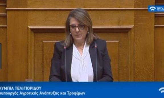 ΤΟΠΟΘΕΤΗΣΗ ΟΛΥΜΠΙΑΣ ΤΕΛΙΓΙΟΡΙΔΟΥ ΥΦΥΠΟΥΡΓΟΥ ΑΑΤ ΣΤΗΝ ΒΟΥΛΗ ΓΙΑ ΤΗΝ ...