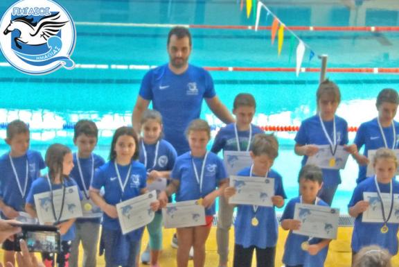 Ο ΠΗΓΑΣΟΣ ΣΤΗ «ΓΙΟΡΤΗ ΤΩΝ ΝΕΡΩΝ» ΣΤΟ ΔΗΜΟΤΙΚΟ ΚΟΛΥΜΒΗΤΗΡΙΟ ΈΔΕΣΣΑΣ ...