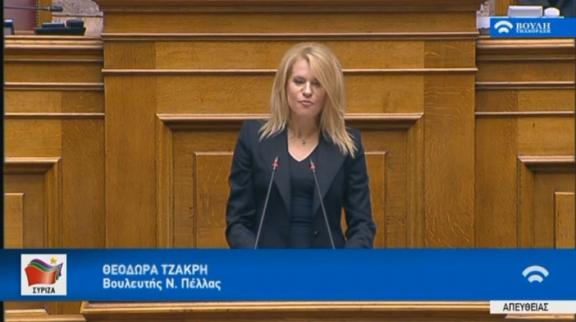 Θ. ΤΖΑΚΡΗ: ΟΜΙΛΙΑ ΣΤΗ ΒΟΥΛΗ ΓΙΑ ΤΗΝ ΕΚΛΟΓΗ ΤΟΥ ΠΡΟΕΔΡΟΥ ΤΗΣ ΔΗΜΟΚΡΑΤΙΑΣ ...