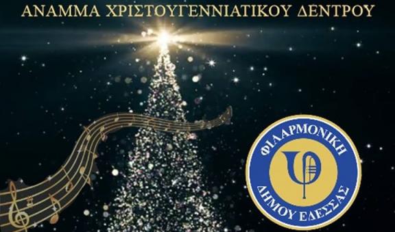 ΕΔΕΣΣΑ : ΆΝΑΜΜΑ ΧΡΙΣΤΟΥΓΕΝΝΙΑΤΙΚΟΥ ΔΕΝΤΡΟΥ | TASTV.gr | Τα νέα της ...