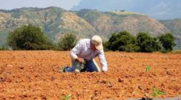 Η ΙΣΧΑΙΜΙΚΗ ΣΤΗΡΙΞΗ ΤΗΣ ΑΓΡΟΤΙΚΗΣ ΟΙΚΟΝΟΜΙΑΣ ΑΠΟ ΤΗΝ ΚΥΒΕΡΝΗΣΗ ...