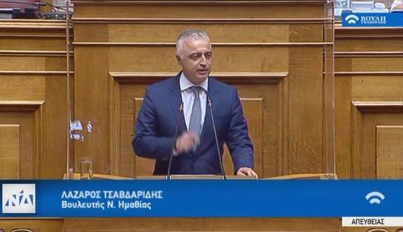 ΛΑΖΑΡΟΣ ΤΣΑΒΔΑΡΙΔΗΣ : ΝΑ ΔΙΕΥΚΟΛΥΝΘΕΙ Η ΔΙΑΜΕΤΑΚΟΜΙΣΗ ΕΜΠΟΡΕΥΜΑΤΩΝ ΣΤΑ ...