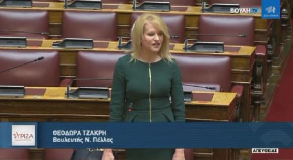Θ. ΤΖΑΚΡΗ-ΣΥΖΗΤΗΣΗ ΕΠΙΚΑΙΡΗΣ ΕΡΩΤΗΣΗΣ ΓΙΑ ΤΟ ΜΟΥΣΙΚΟ ΣΧΟΛΕΙΟ ΓΙΑΝΝΙΤΣΩΝ ...