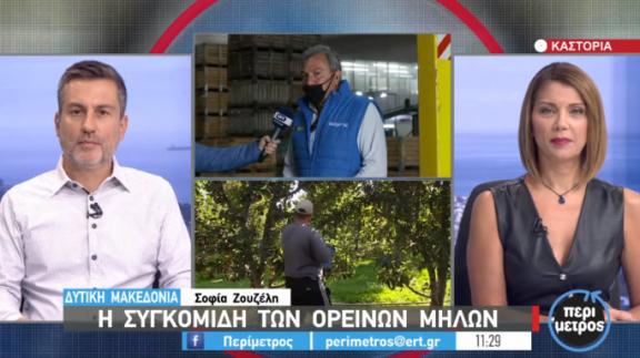 ΤΑ ΞΕΧΩΡΙΣΤΑ ΜΗΛΑ ΤΗΣ ΚΑΣΤΟΡΙΑΣ ΚΑΙ Η ΑΝΗΣΥΧΙΑ ΤΩΝ ΠΑΡΑΓΩΓΩΝ – ΒΙΝΤΕΟ ...