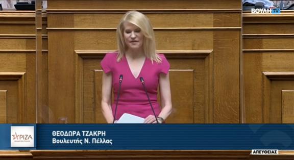 Θ. ΤΖΑΚΡΗ - ΠΑΡΕΜΒΑΣΗ ΣΤΗ ΒΟΥΛΗ ΓΙΑ ΑΚΡΙΒΕΙΑ - ΕΝΕΡΓΕΙΑ - ΚΟΣΤΟΣ ΖΩΗΣ ...