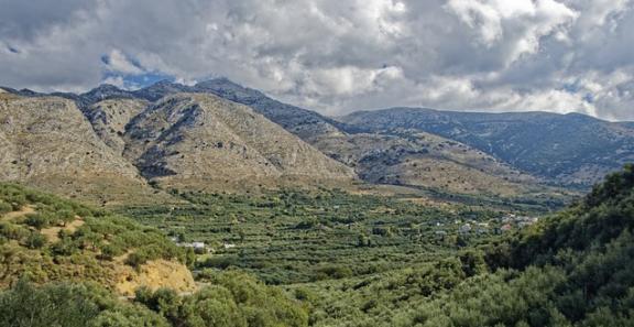 ΑΡΠΑΓΗ ΓΗΣ ΓΙΑ ΛΟΓΟΥΣ ΔΗΜΟΣΙΑΣ ΩΦΕΛΕΙΑΣ – ΤΑ ΔΑΣΗ ΚΑΙ ΟΙ ΔΑΣΙΚΕΣ ...