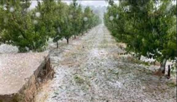 ΧΑΛΑΖΟΠΤΩΣΗ ΚΑΙ ΣΦΟΔΡΗ ΚΑΤΑΙΓΙΔΑ- ΤΡΕΛΑΘΗΚΕ Ο ΚΑΙΡΟΣ ΣΤΗΝ ΚΟΖΑΝΗ ΚΑΙ ...