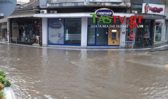 Π.Ε. ΠΕΛΛΑΣ : ΞΕΚΙΝΟΥΝ ΟΙ ΔΗΛΩΣΕΙΣ ΓΙΑ ΟΣΟΥΣ ΕΠΛΗΓΗΣΑΝ ΑΠΟ ΤΗΝ ΘΕΟΜΗΝΙΑ ...