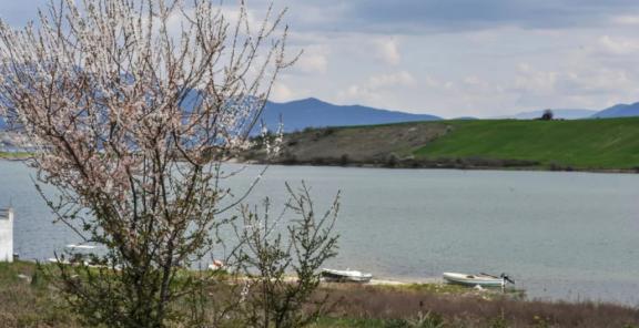 ΚΟΖΑΝΗ: ΘΡΙΛΕΡ ΜΕ ΠΤΩΜΑ ΠΟΥ ΒΡΕΘΗΚΕ ΣΤΗ ΛΙΜΝΗ ΠΟΛΥΦΥΤΟΥ | TASTV.gr | Τα ...