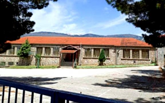 ΑΡΝΙΣΣΑ ΠΕΛΛΑΣ : ΜΑΘΗΤΕΣ ΕΚΠΑΙΔΕΥΤΙΚΟΙ ΤΟΥ ΔΗΜ. ΣΧΟΛΕΙΟΥ ΠΡΩΤΟΣΤΑΤΟΥΝ ...