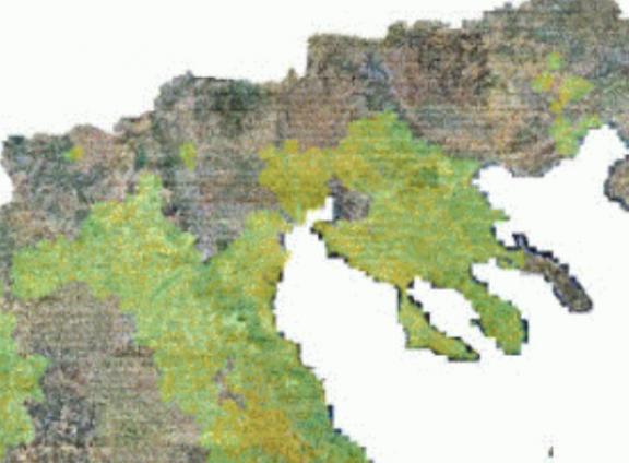 ΜΕΡΙΚΗ ΚΥΡΩΣΗ ΔΑΣΙΚΟΥ ΧΑΡΤΗ ΟΛΩΝ ΤΩΝ ΤΟΠΙΚΩΝ ΚΑΙ ΔΗΜΟΤΙΚΩΝ ΚΟΙΝΟΤΗΤΩΝ ...