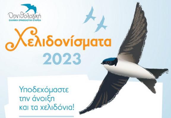 ΥΠΟΔΕΧΟΜΑΣΤΕ ΤΑ ΧΕΛΙΔΟΝΙΑ ΣΤΗ ΕΔΕΣΣΑ | TASTV.gr | Τα νέα της Πέλλας LIVE