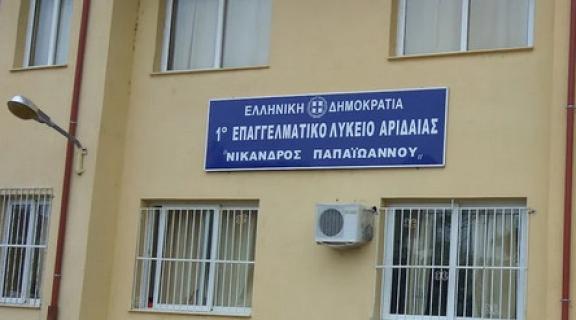 1ο ΕΠΑΛ ΑΡΙΔΑΙΑΣ : ΣΥΓΧΑΡΗΤΗΡΙΑ ΕΠΙΣΤΟΛΗ ΣΤΟΥΣ ΕΠΙΤΥΧΟΝΤΕΣ - ΛΙΣΤΑ ...