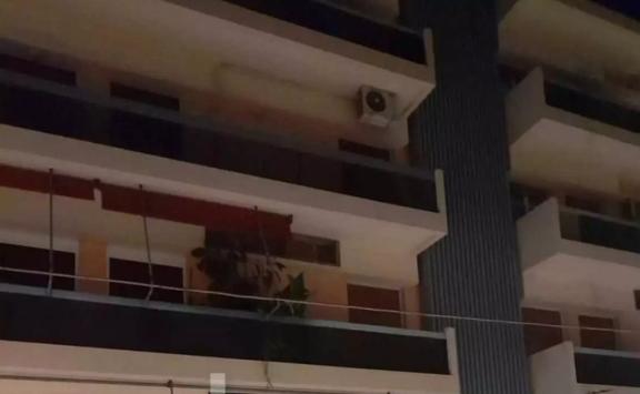 ΑΥΤΟΚΤΟΝΗΣΕ 23ΧΡΟΝΗ ΦΟΙΤΗΤΡΙΑ ΑΠΟ ΤΗΝ ΠΤΟΛΕΜΑΙΔΑ | TASTV.gr | Τα νέα ...