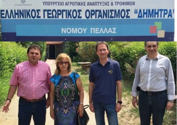 Π.Ε. ΠΕΛΛΑΣ : Η ΕΚΠΑΙΔΕΥΣΗ ΤΩΝ ΝΕΩΝ ΑΓΡΟΤΩΝ ΑΠΟΤΕΛΕΙ ΕΠΕΝΔΥΣΗ ΣΤΟ ...
