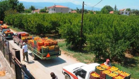 ΣΥΜΠΥΡΗΝΟ ΡΟΔΑΚΙΝΟ: ΆΝΟΔΟΣ ΤΙΜΩΝ ΣΤΙΣ ΤΕΛΕΥΤΑΙΕΣ ΠΟΣΟΤΗΤΕΣ ΕΩΣ ΚΑΙ 0,42 ...